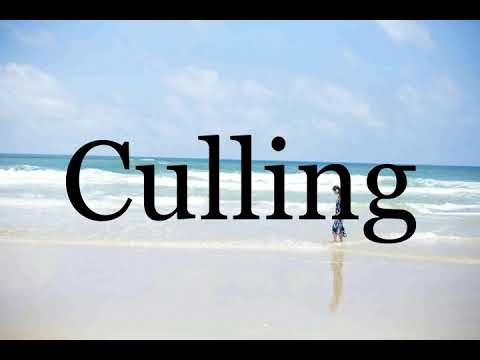 How To Pronounce Culling🌈🌈🌈🌈🌈🌈Pronunciation Of Culling