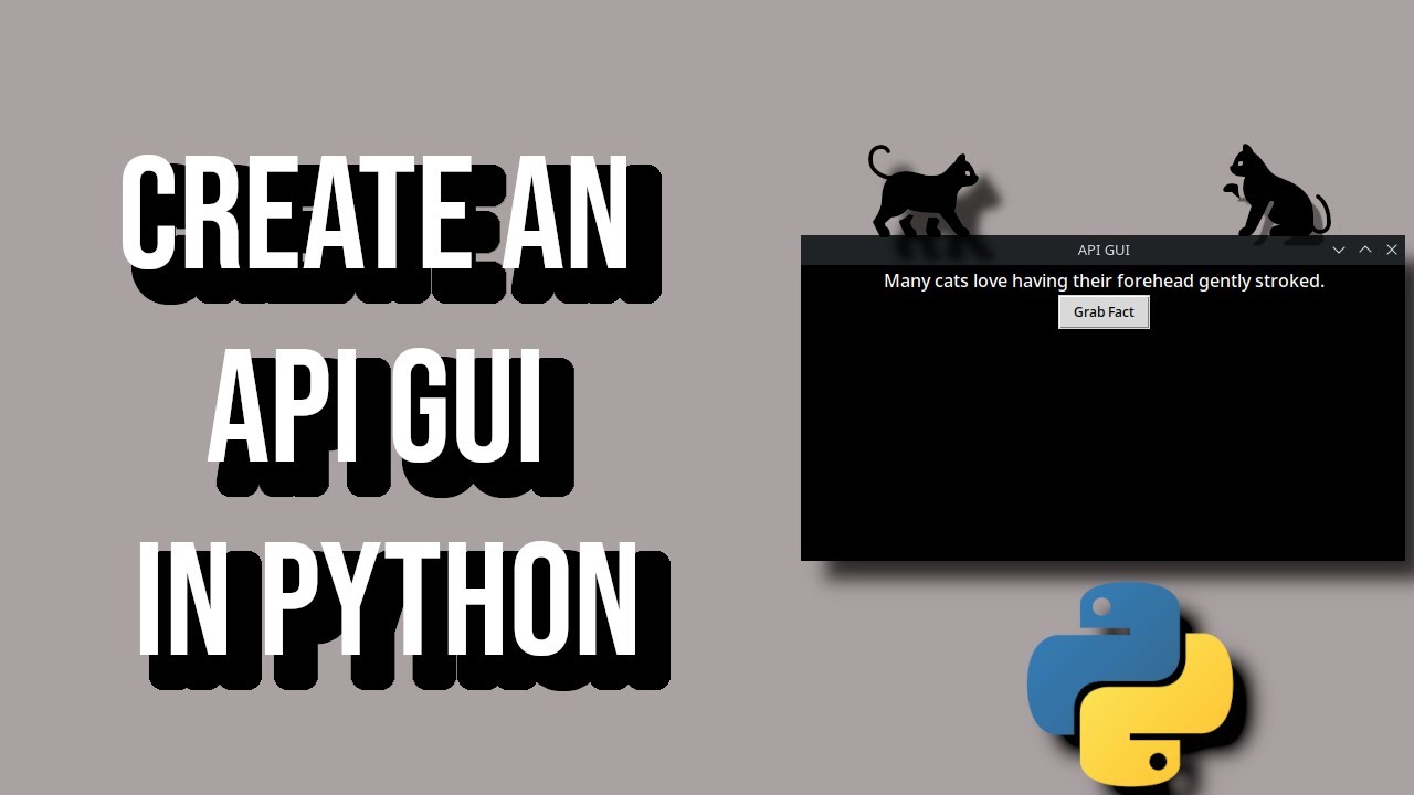 Lets Create An API GUI In Python