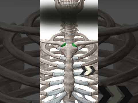 An Easy Way To Mobilize Sternoclavicular Joint. Treat Shoulder Pain & Stiffness.