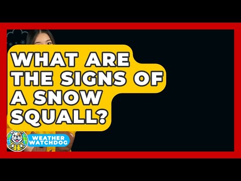 What Are The Signs Of A Snow Squall? - Weather Watchdog