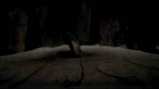 The Ruins - Película 2008 - Cine.com