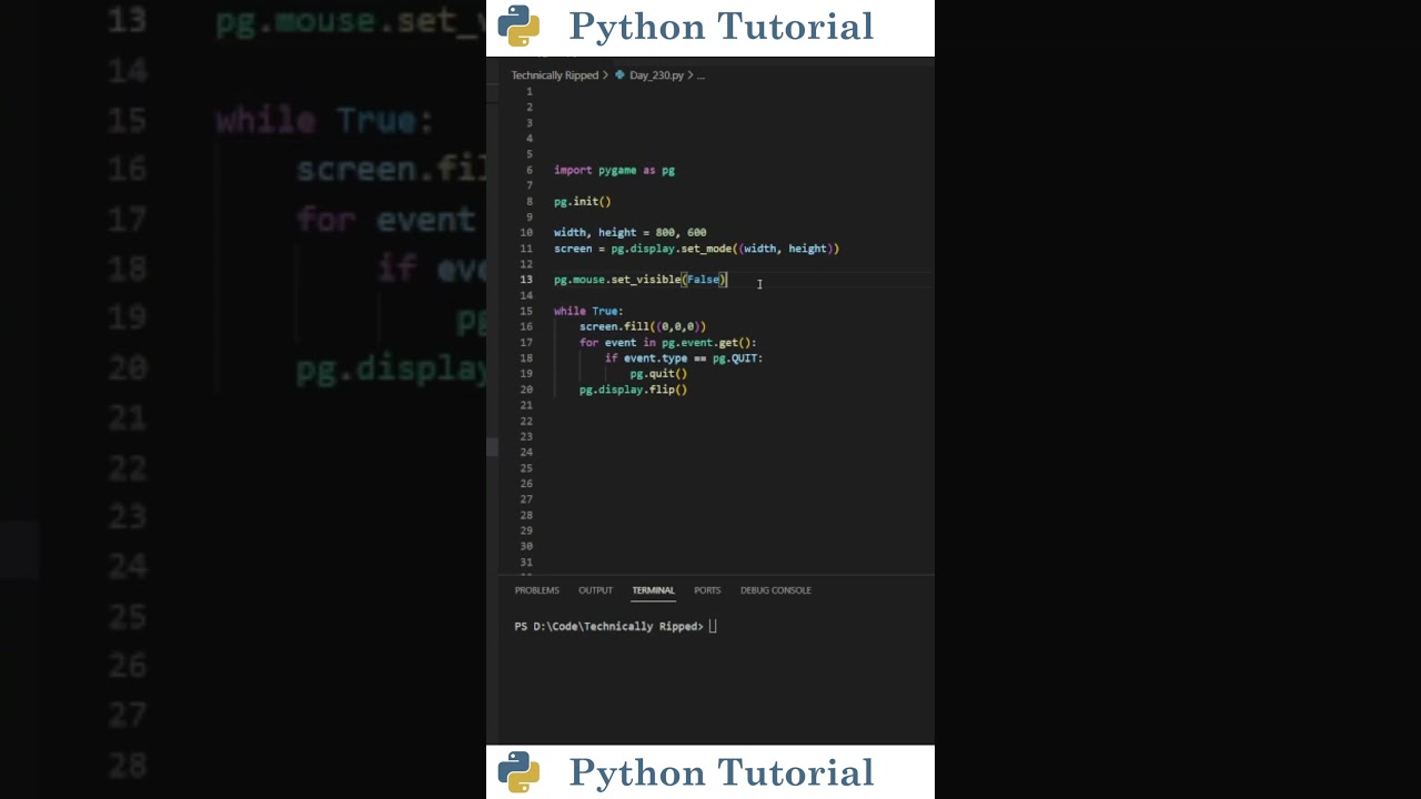 Removing The Player's Cursor/Mouse In Pygame | Python Tutorial