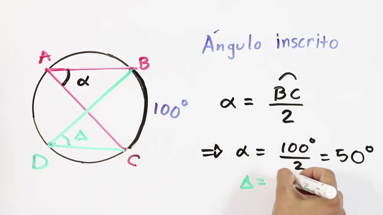 Types of angles in the circumference