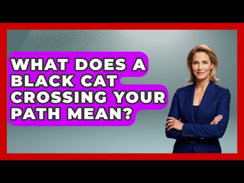 What Does A Black Cat Crossing Your Path Mean? - Exploring Ancient Myths