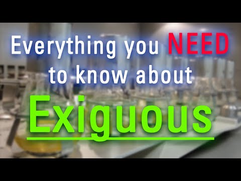 How Does Exiguous Look? | How to Say Exiguous in English? | What is Exiguous?