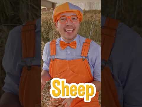 Old MacDonald had a Sheep 🐑 #shorts | BLIPPI | Educational Songs For Kids