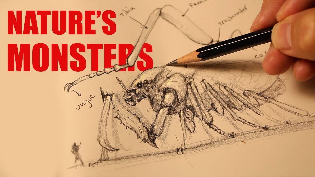 Designing a Creature from Insect Anatomy | Transforming Bugs into Beasts