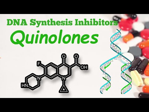 DNA Synthesis Inhibitors | Quinolones | Flouroquinolones