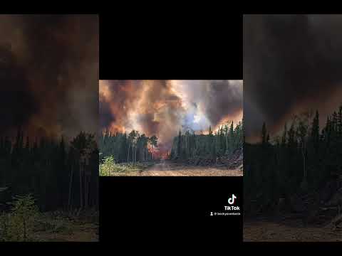 Growing up as a JW, thinking it was Armageddon everytime…