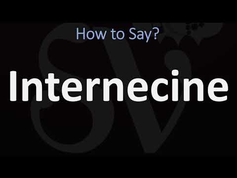 How to Pronounce Internecine? (CORRECTLY)
