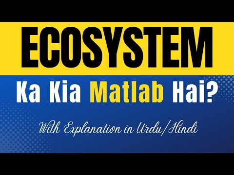 Ecosystem Meaning in Hindi | 'Ecosystem Ka Kya Matlab Hota Hai' Hindi/Urdu Explanation Included