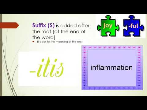 Chapter 6 Medical Terminology