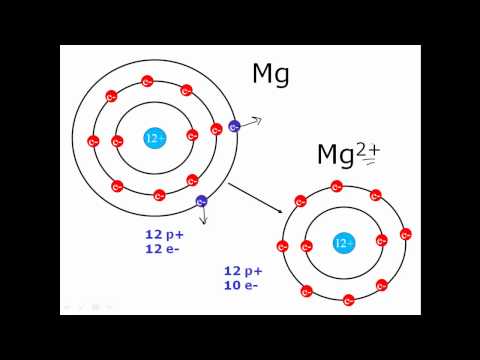 Welcome back! Happy 2014! The Octet Rule! – MrKremerScience.com