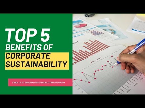 5 Benefits of Corporate Sustainability | Script Consultants