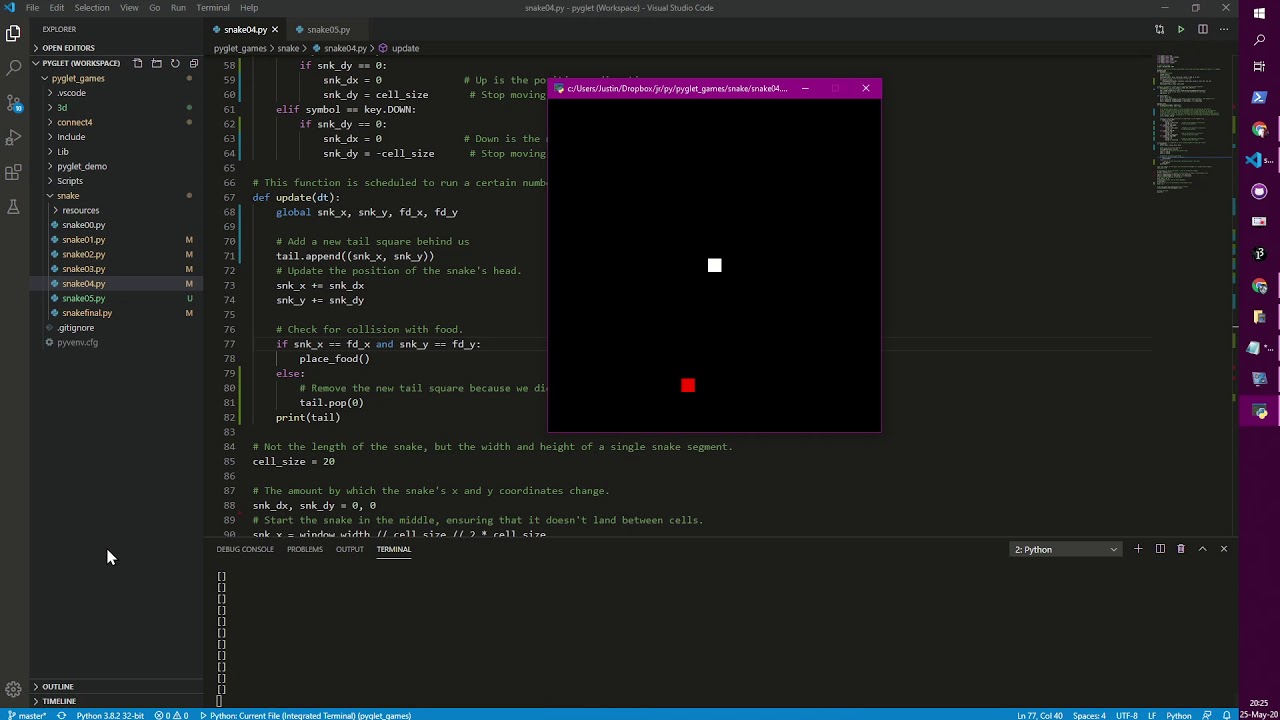 Python Pyglet Snake 5