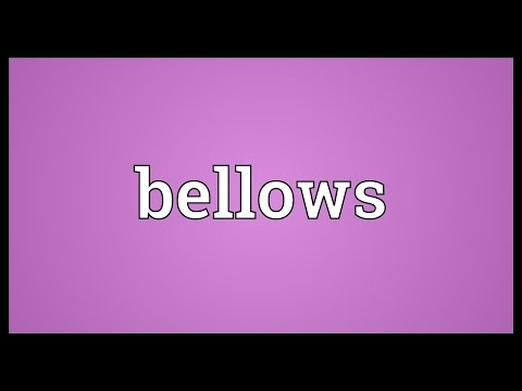 Bellows Meaning