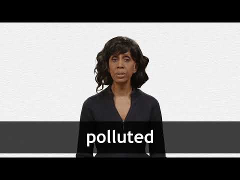 How to pronounce POLLUTED in American English
