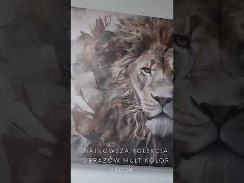 Obrazy Multikolor Radimar! Obrazy na płótnie do Twojego salonu lub biura