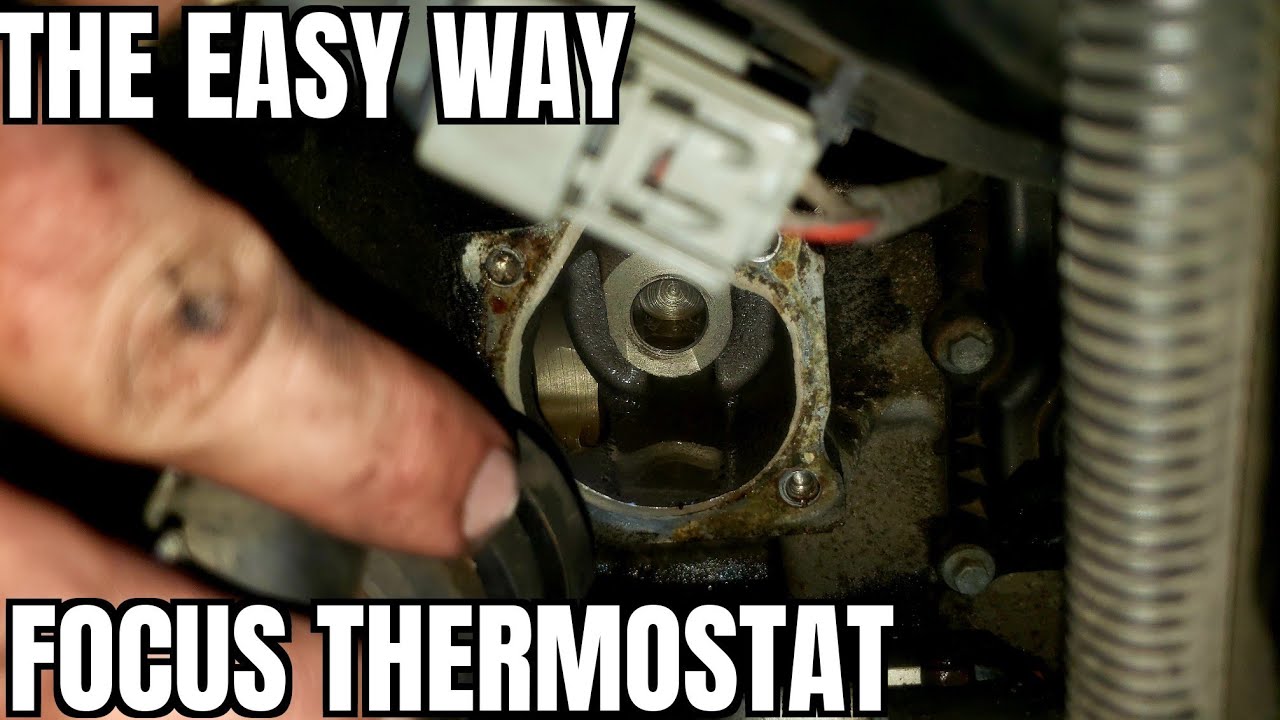 98-07 Ford Focus Thermostat Replace How to