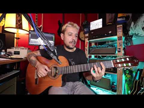 Raimundo 660E 2004 - Wood | Reverb