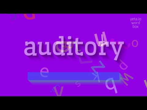How to say "auditory"! (High Quality Voices)