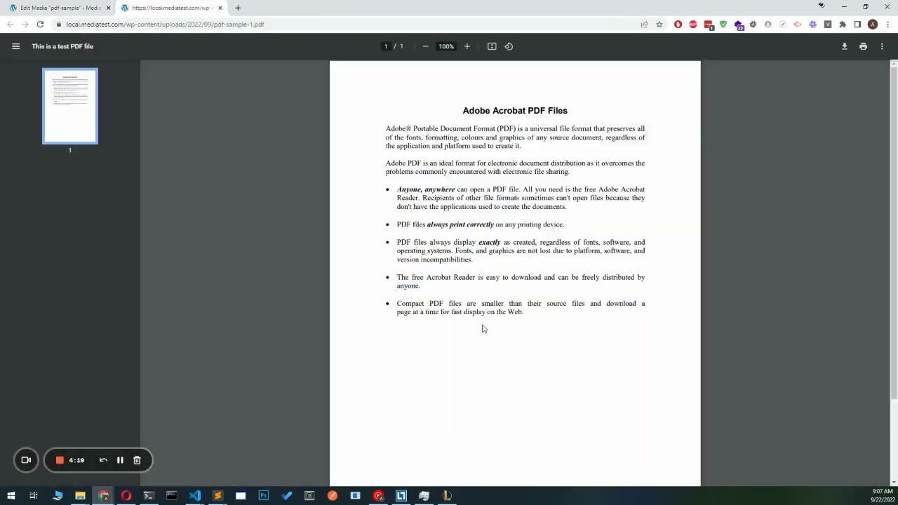 Protect PDF files in WordPress