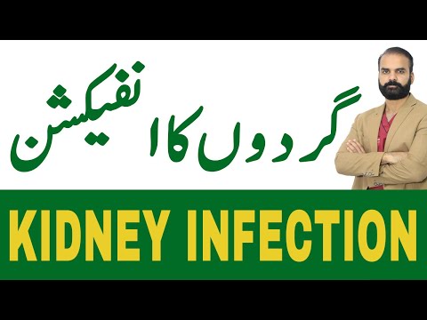 Kidney Infection, all patients of Diabetes(Sugar) should know this! in Urdu/Hindi