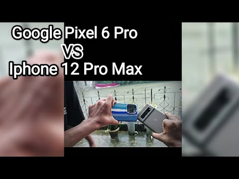 Google Pixel 6 Pro Vs Iphone 12 Pro Max Camera Comparison Test! | #iphone12promax #googlepixel6pro