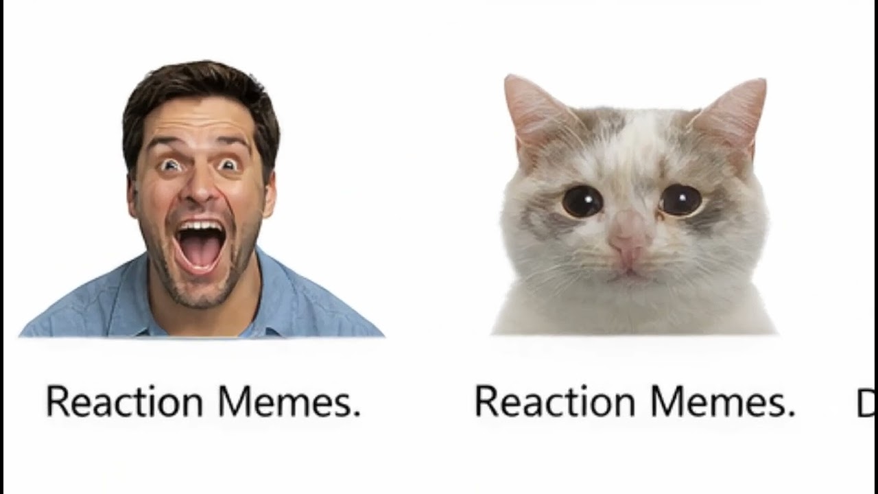 Every type of meme explained in 4 mins