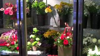 3 Best Florists in Indianapolis, IN - Expert Recommendations