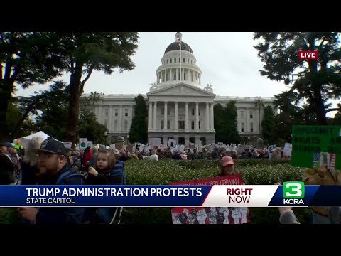 President's Day Protest | Demonstration against Trump administration at California Capitol