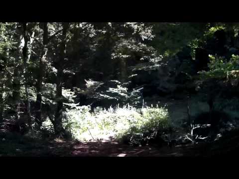 FPV tranquillou à coté de la cascade les vernières à La bourboule