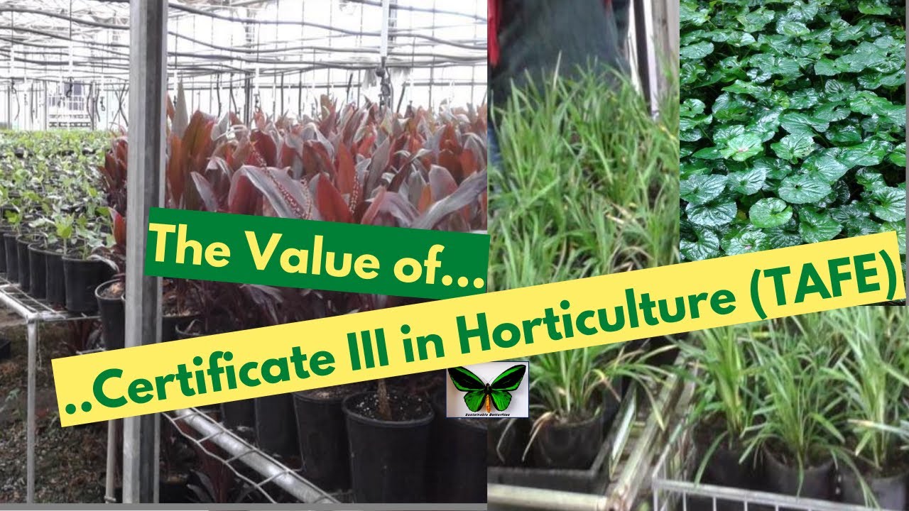 The Value of Certificate III in Horticulture (TAFE NSW)
