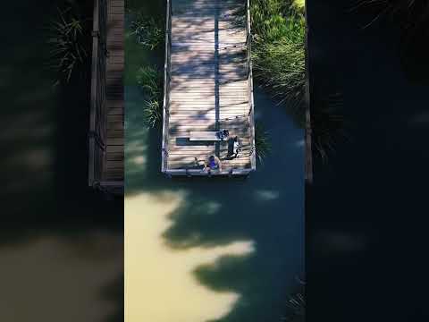 Hidden quiet corner close to Williams Landing train station (location In description)