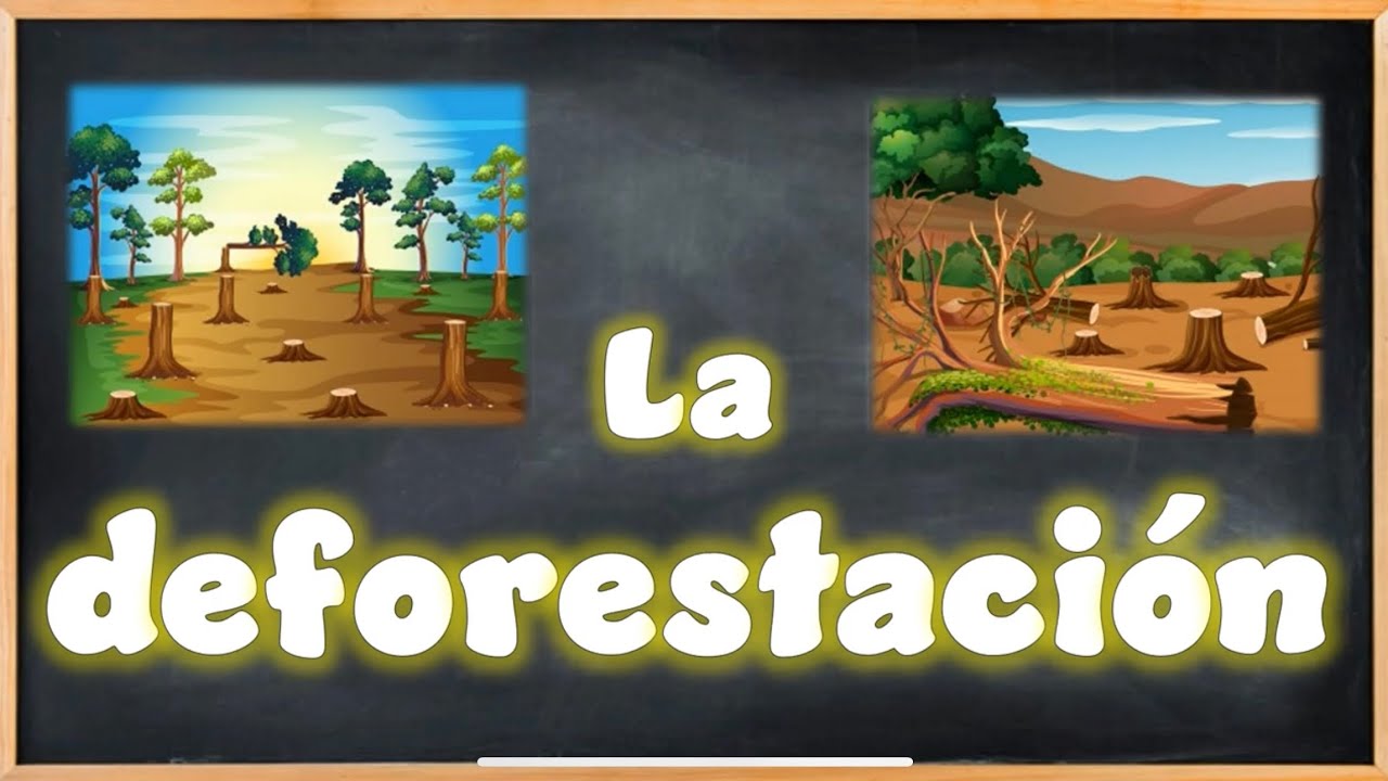 Deforestation