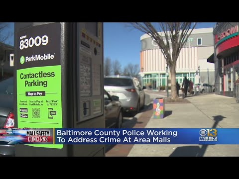 Olszewski, Hyatt Say Police Will Have Increased Presence After Towson Town Center Brawl