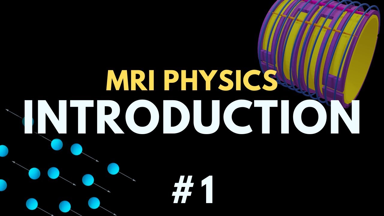 Understanding MRI Physics: A Comprehensive Overview | Galaxy.ai