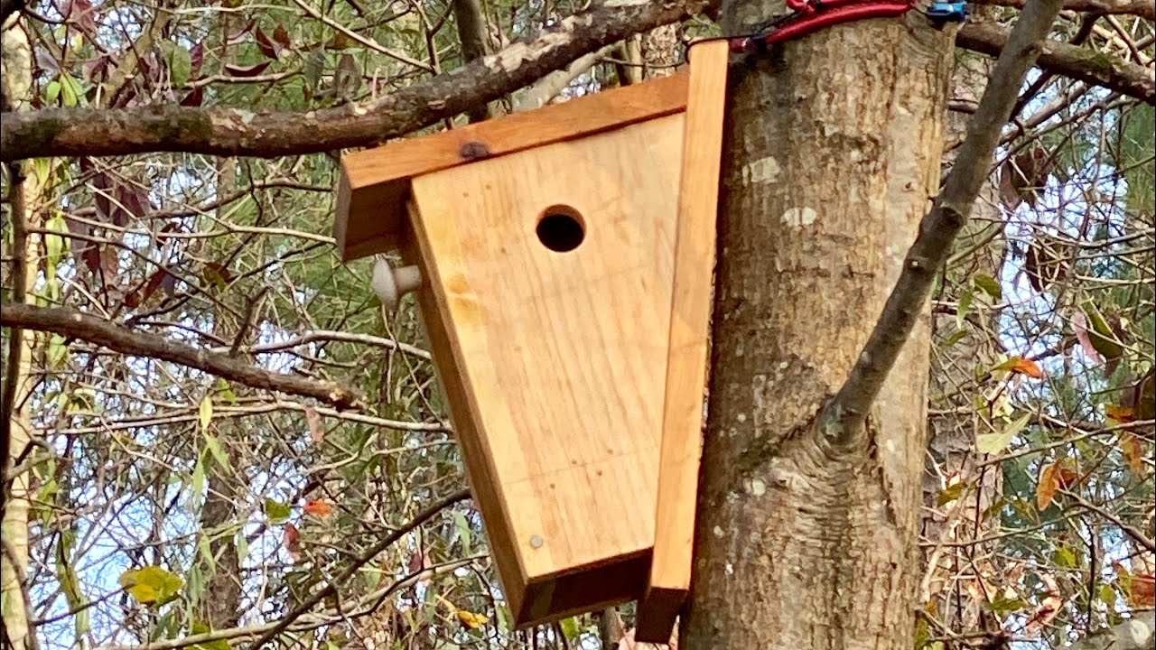 Make this Nuthatch nesting box