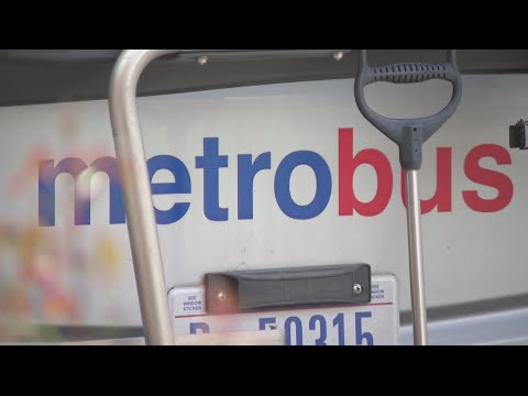 Free Metro bus service, overnight bus rides could see boom in DC's nightlife
