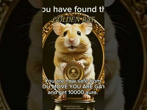golden rat gift #rat  #memes