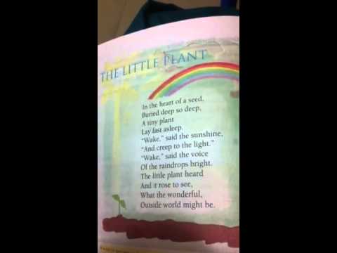The Little Plant: English Rhymes for Kids & Children
