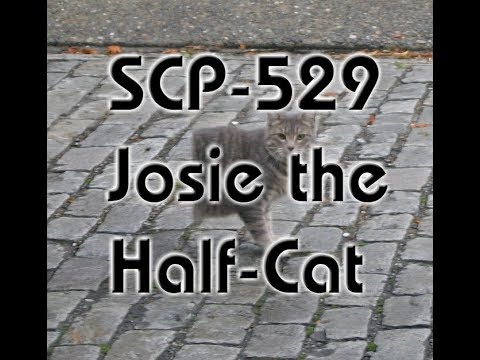 Agent Zero's SCP Audio Files - SCP-529 (Josie the Half-Cat)