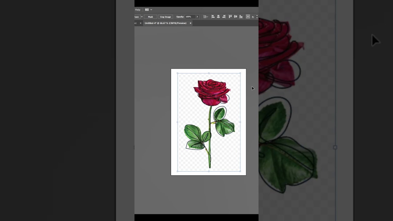Rose one line drawing vector illustration #short #graphicdesign #oneline #vector #adobeillustrator
