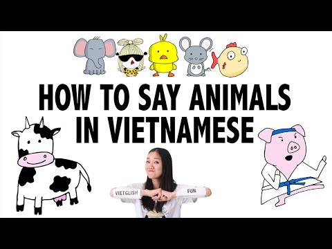 How To Say Animals In Vietnamese