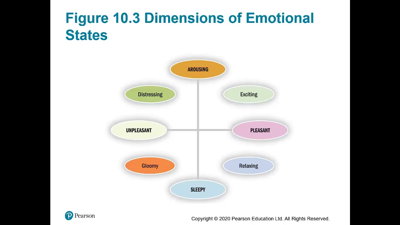 Consumer Behaviour I Solomon - Chapter 10