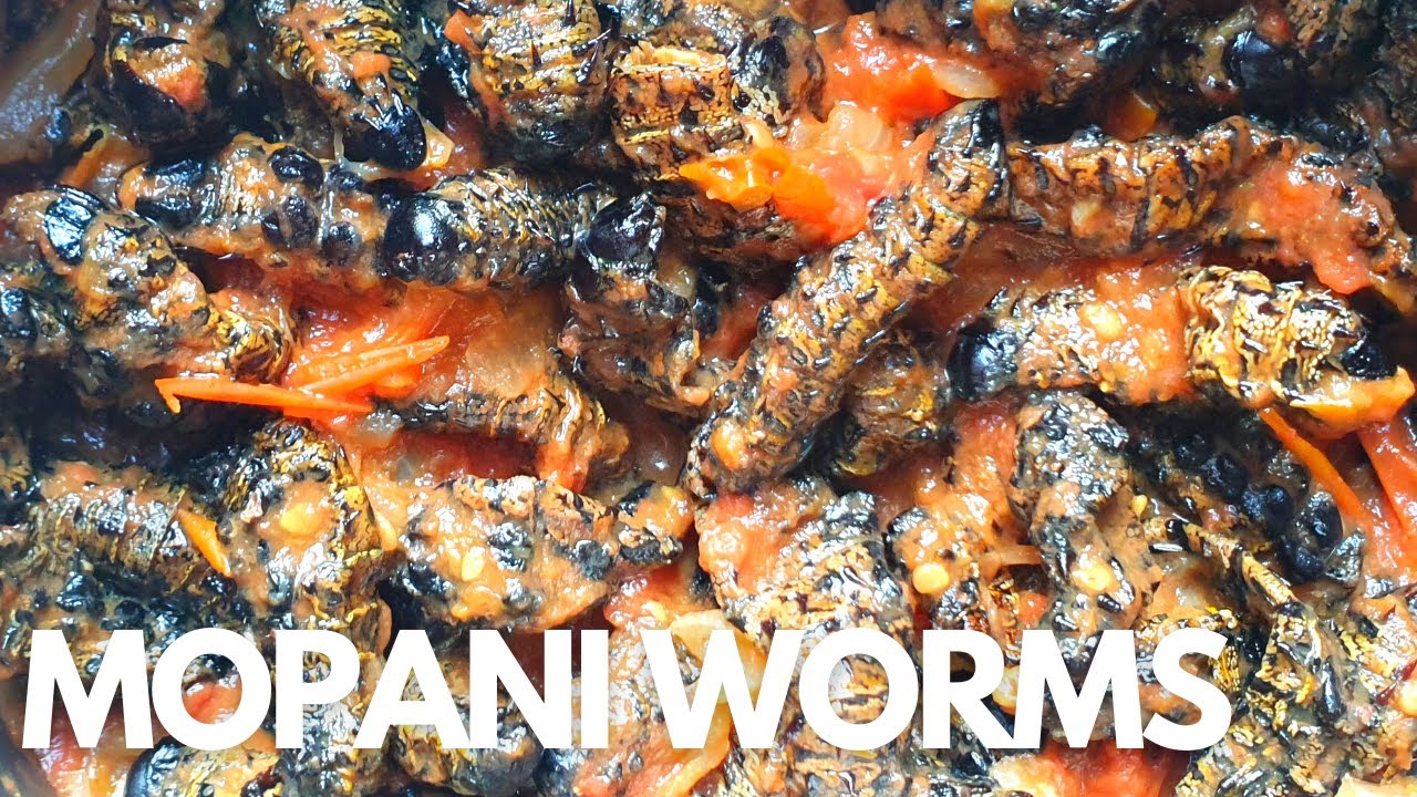 Masonja / Mopani / Mopane Worm Recipes – The Best African Dried Moth ...