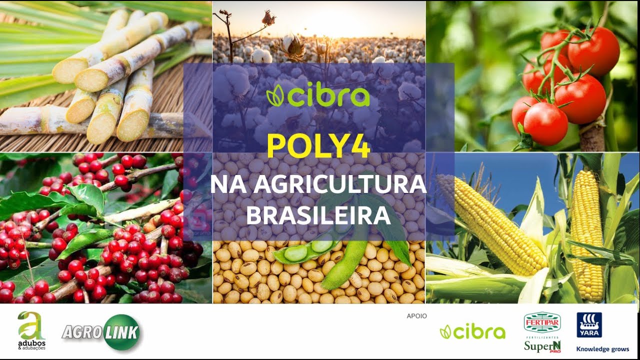 POLY4 NA AGRICULTURA BRASILEIRA