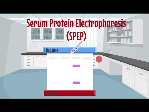 Investigating paraproteins: Electrophoresis, Immunofixation