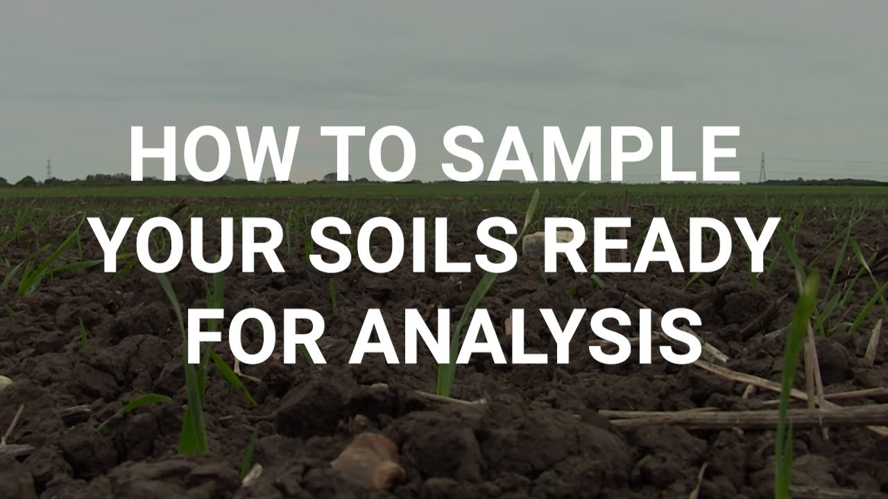 How to sample your soils ready for analysis