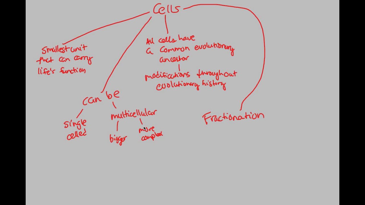 Cell Structure - Cells | BIALIGY.com
